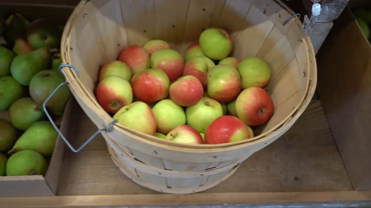 Whatcom County apple farm opens for fall season U-pick | Bellingham Herald