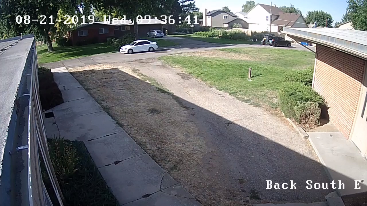 Thieves who stole vegetables from refugee garden caught on camera ...