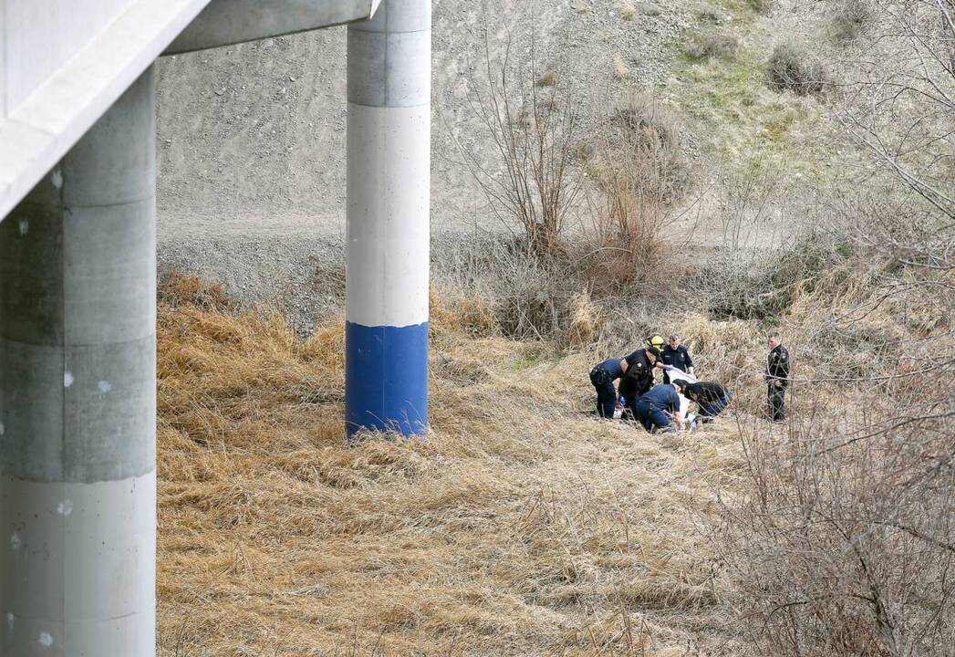 Man survives 70-foot plunge off Zintel Canyon bridge | The State