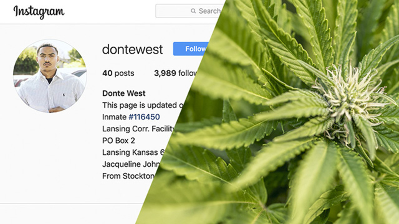 Man convicted of marijuana offense in Kansas petitions for clemency ...