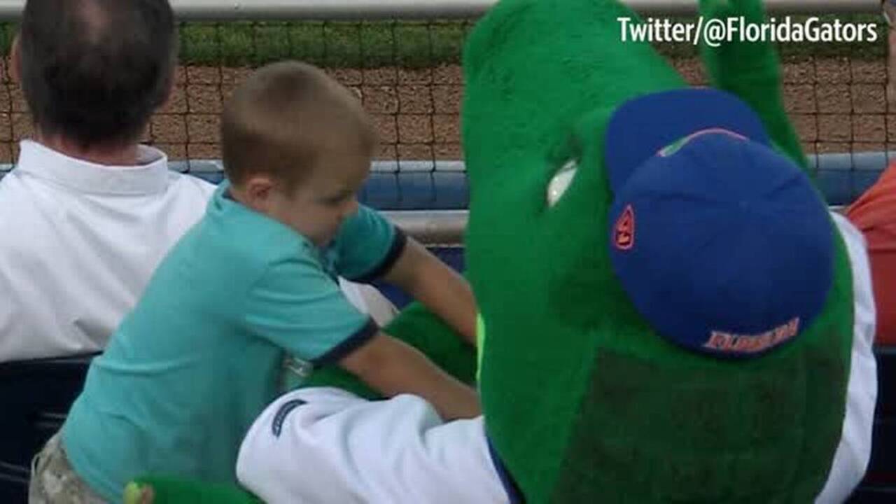 Florida Gators mascot saves child from baseball beaning | Miami Herald
