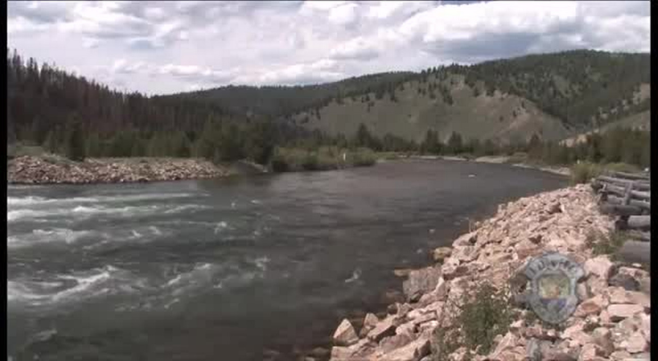 Chinook Salmon return to Idaho's Sawtooth Hatchery (Video) | Idaho ...