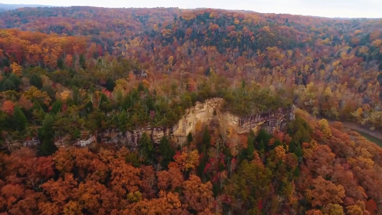 Kentucky fall colors as seen from a drone's perspective | Miami Herald