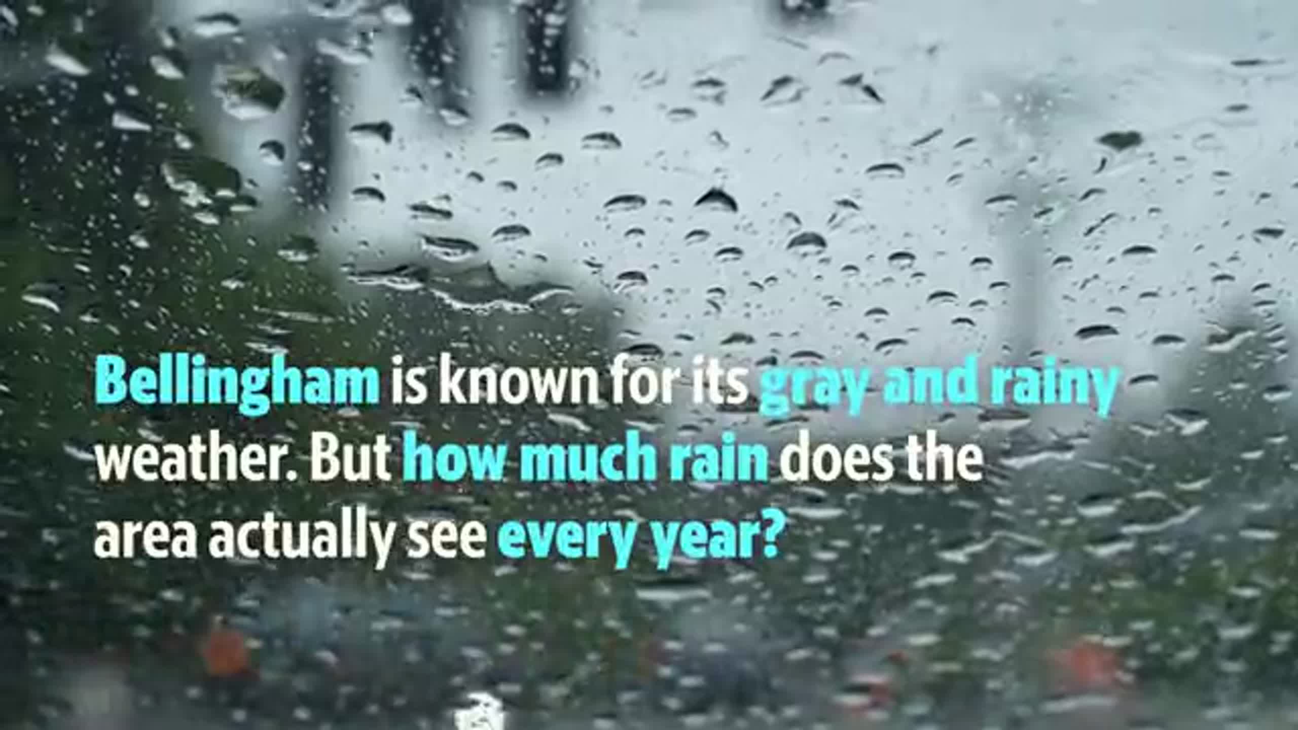 Bellingham Washington Weather News & Reports | Bellingham Herald