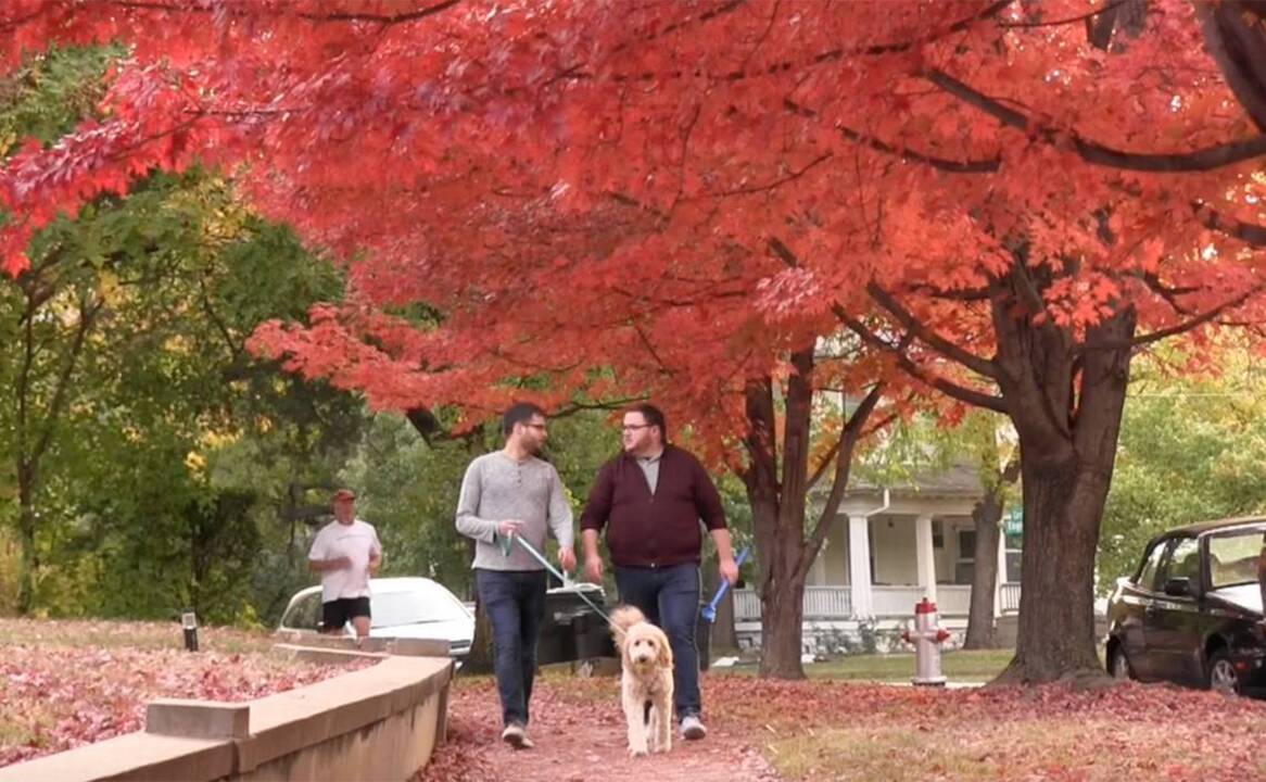 See Kansas' fall colors from the air | Wichita Eagle