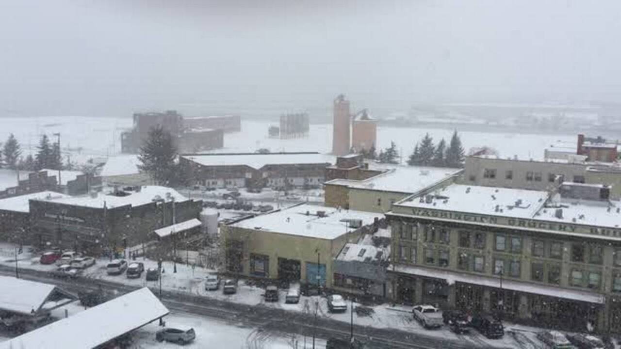 Snow starts to fall Wednesday afternoon in Bellingham | Bellingham Herald