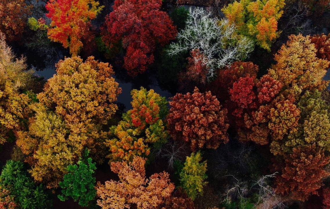 Gorgeous soaring views of Kansas fall foliage | Wichita Eagle