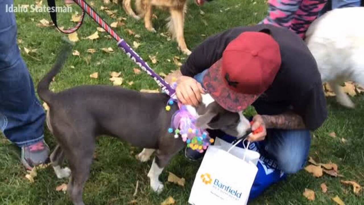 Boise dogs have their day at See Spot Walk | Idaho Statesman
