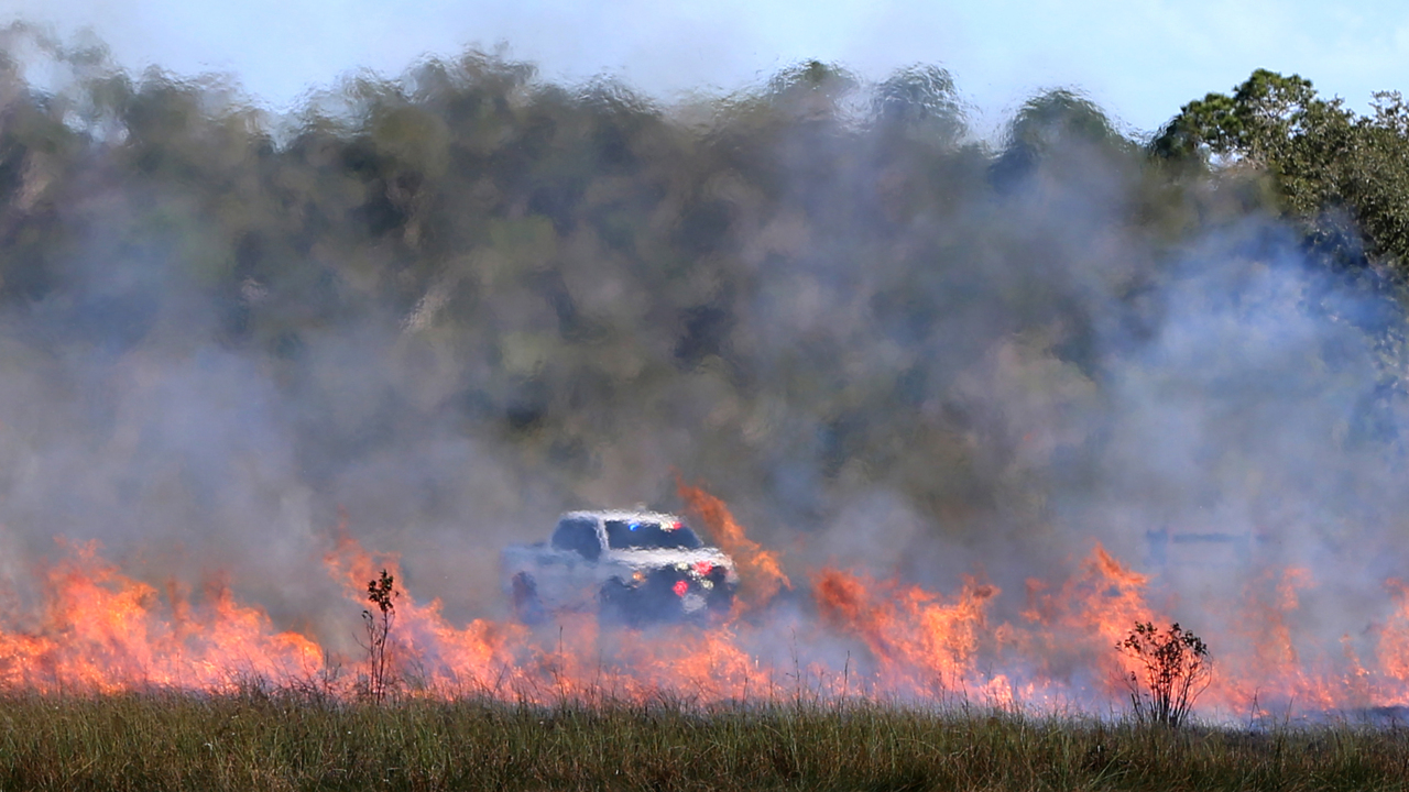 Fighting fire with fire: how intentional burns keep the Everglades ...
