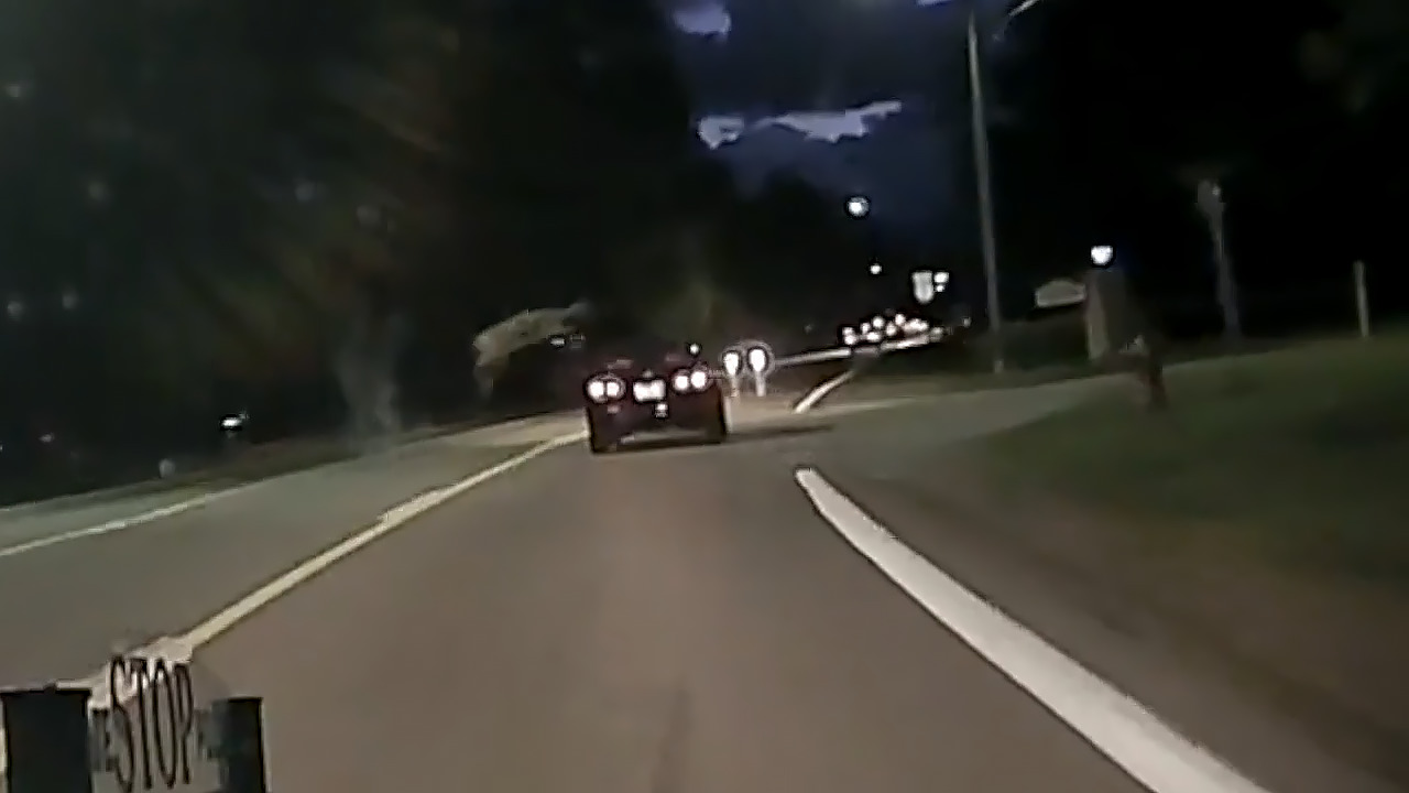 Video shows jumping deer leaps over car to avoid crash (Video) | El ...