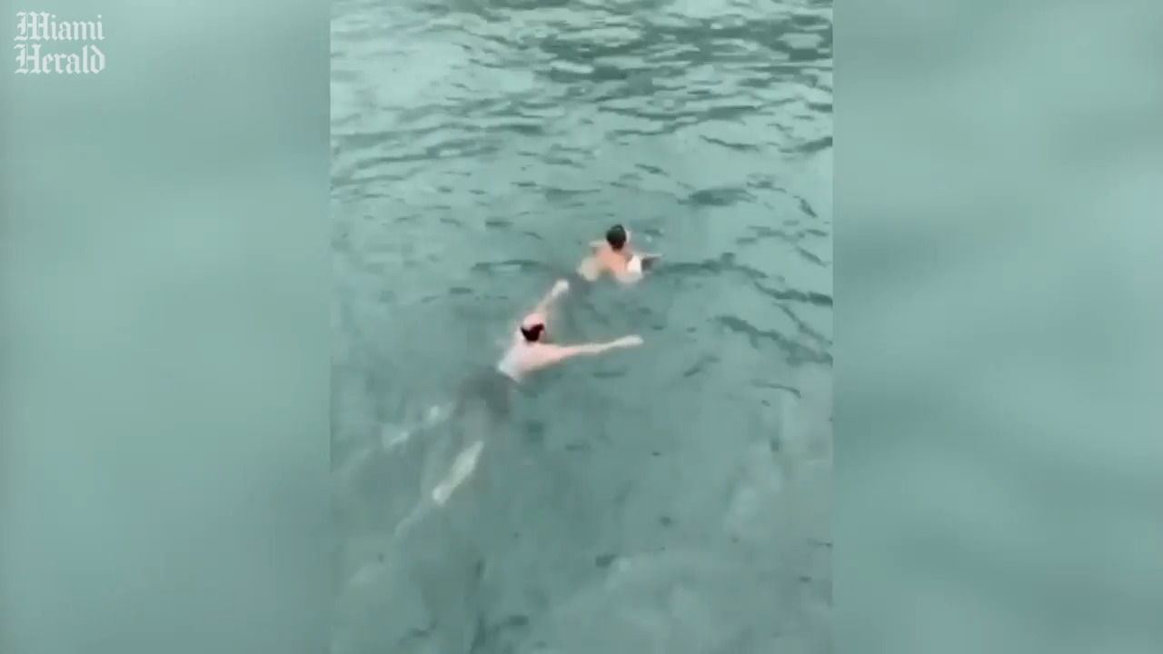 Video shows man jump off bridge to save dog in Miami | Miami Herald