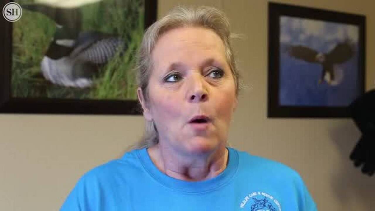 Mote: What’s digging in my yard? Here’s how to know | Macon Telegraph