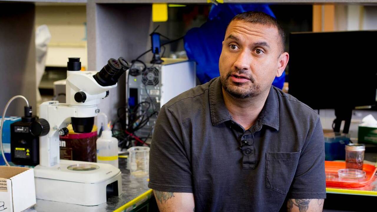 Christopher Tapp exonerated after spending 20 years in prison | Idaho ...