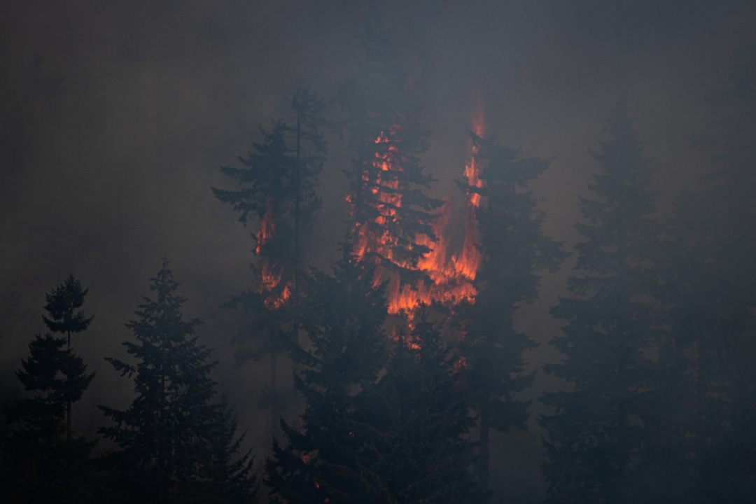 Free meals for evacuated families of Sumner Grade fire | Tacoma News ...