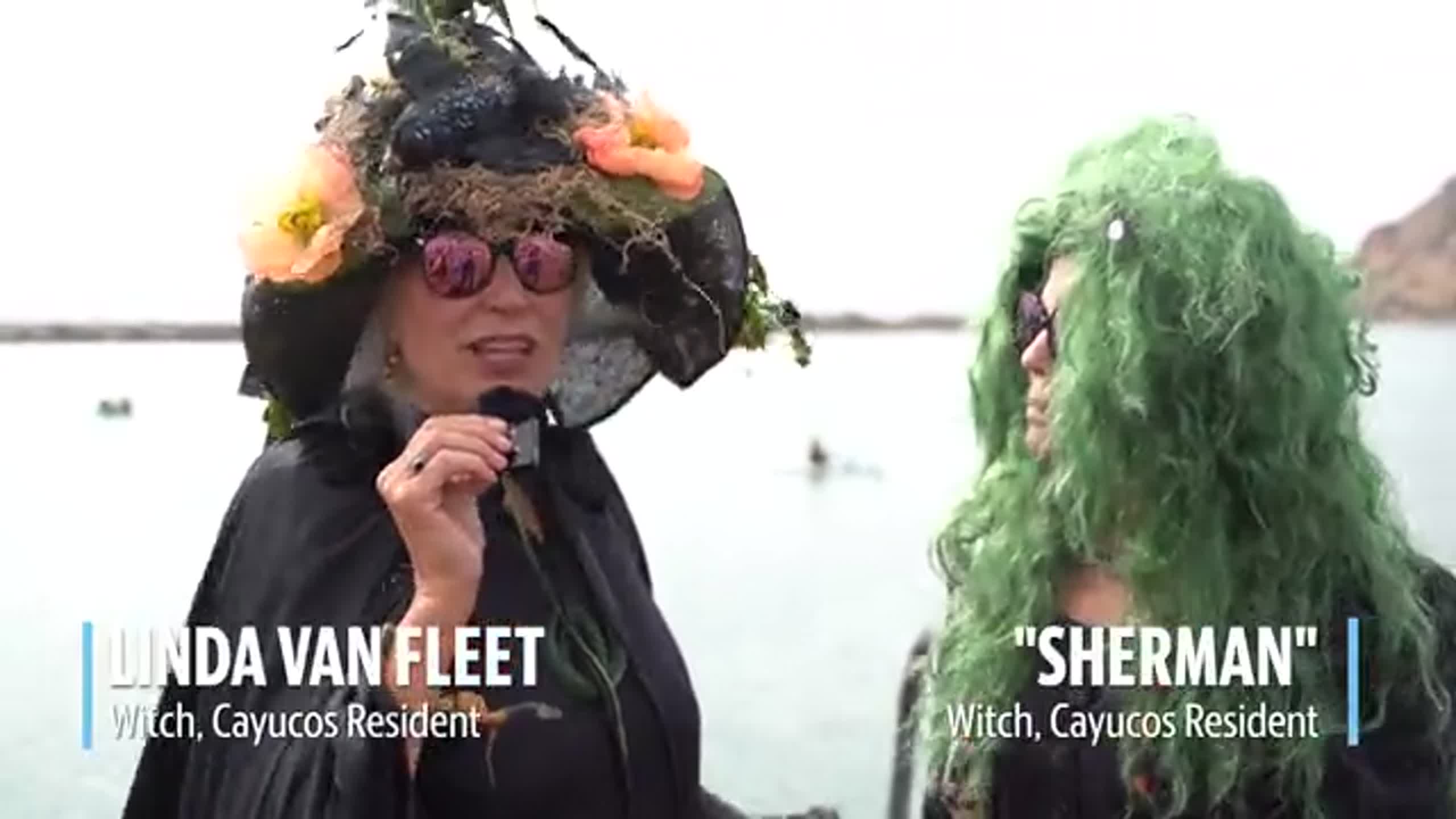 Hundreds flock to Witches Paddle for spooky surf adventures (Video ...