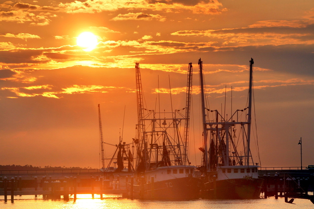 Prison lockdowns, high-ranking high schools and shrimp: Last week on ...