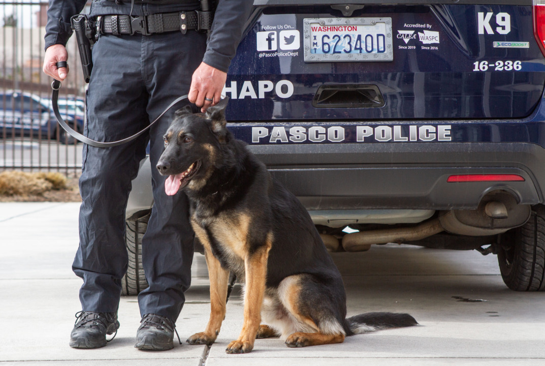Police catch two suspects in recent Pasco robberies | Tri-City Herald
