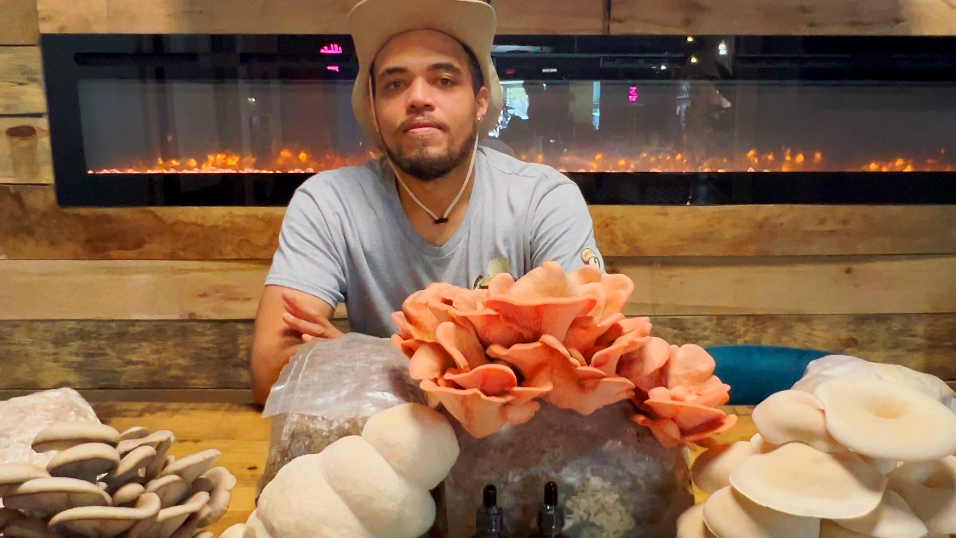 Discover Marc’s Gourmet Mushrooms in Columbus, GA, markets | Columbus ...
