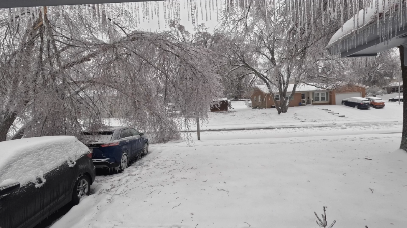 Lexington Kentucky Weather News & Reports | Lexington Herald Leader