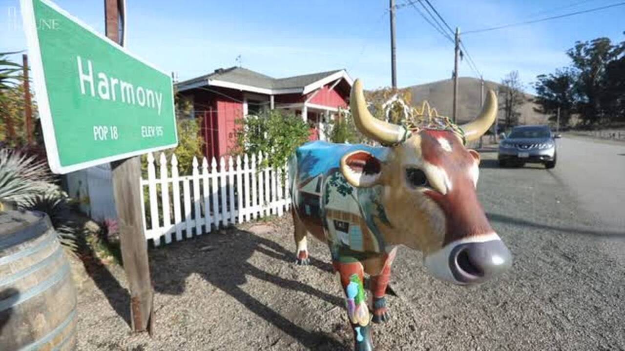 Highway 1 | Take a tour of the tiny town of Harmony, California | San ...