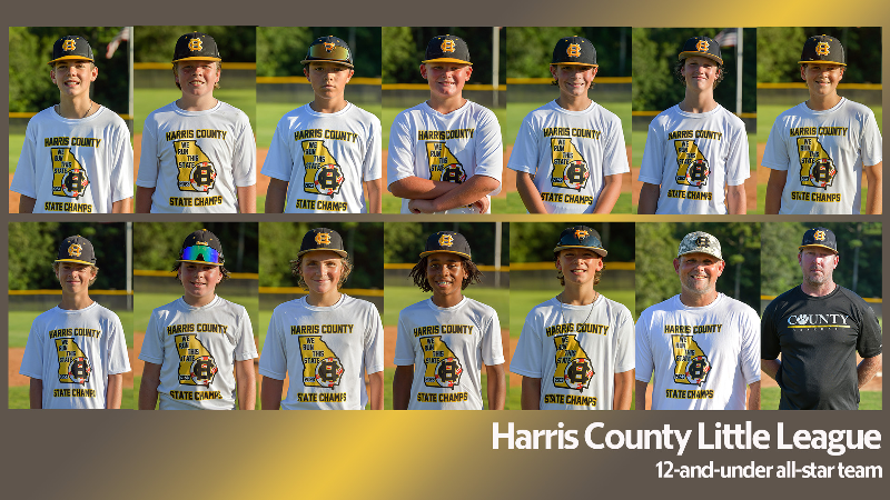 Harris County wins Georgia Little League state championship | Columbus ...