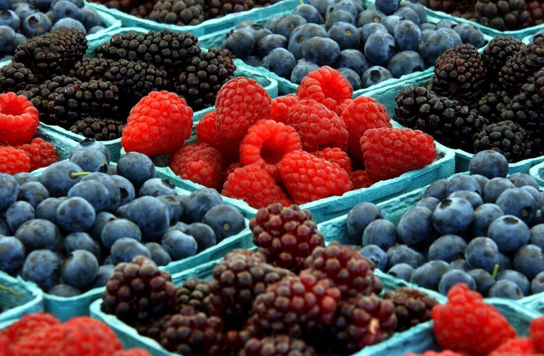 Whatcom berry farmers struggle with damaged crop, low prices ...