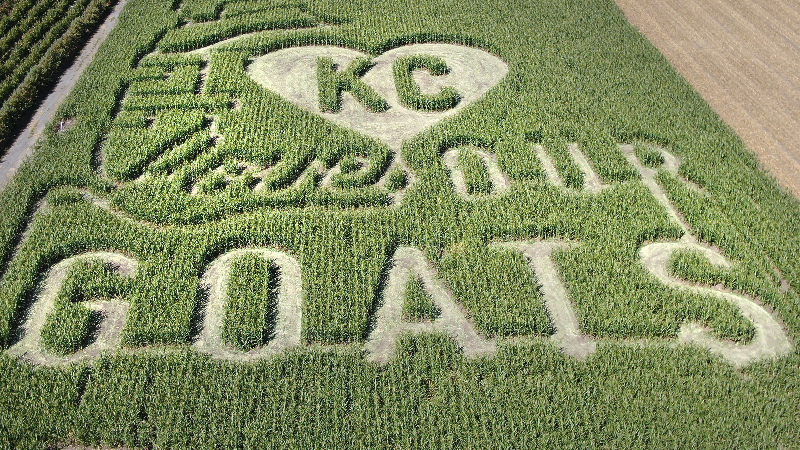 Massive Missouri corn maze honors GOATs and Kansas City Chiefs | Kansas ...