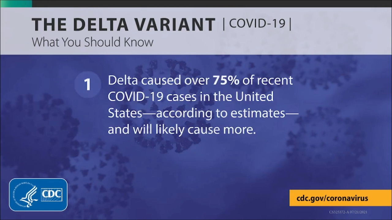 What to know about the Delta COVID variant | Miami Herald