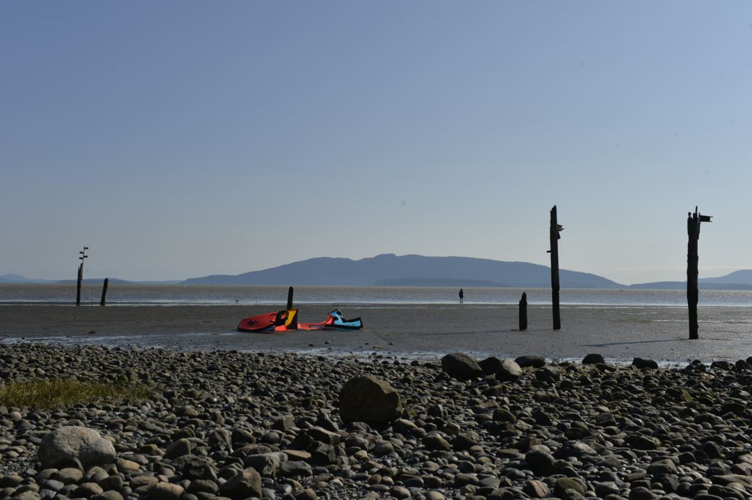 What’s at Bellingham’s Teddy Bear Cove? Beach offers tidepools ...
