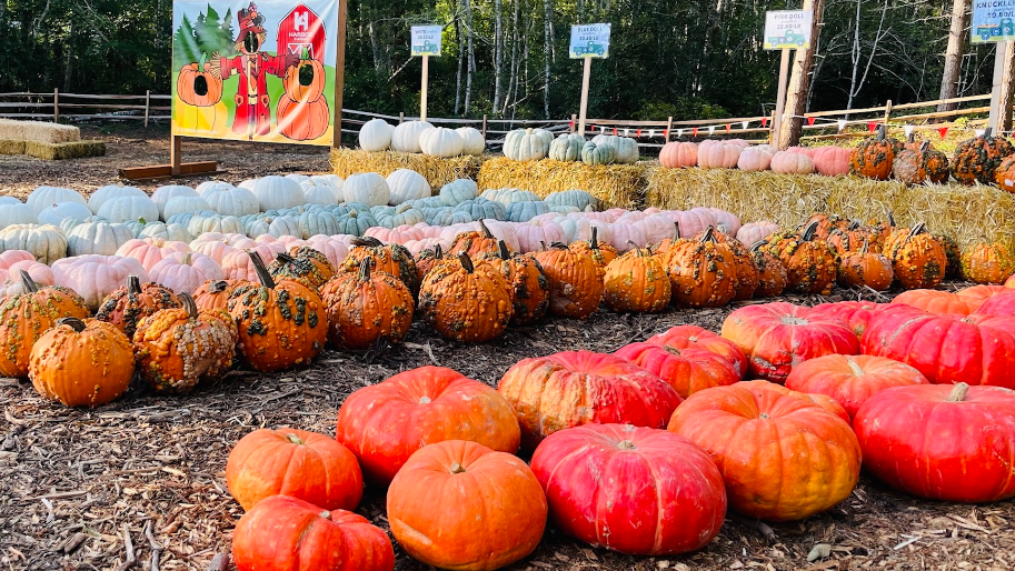 Harbor Farms opens at new 12-acre Gig Harbor area location | Tacoma ...