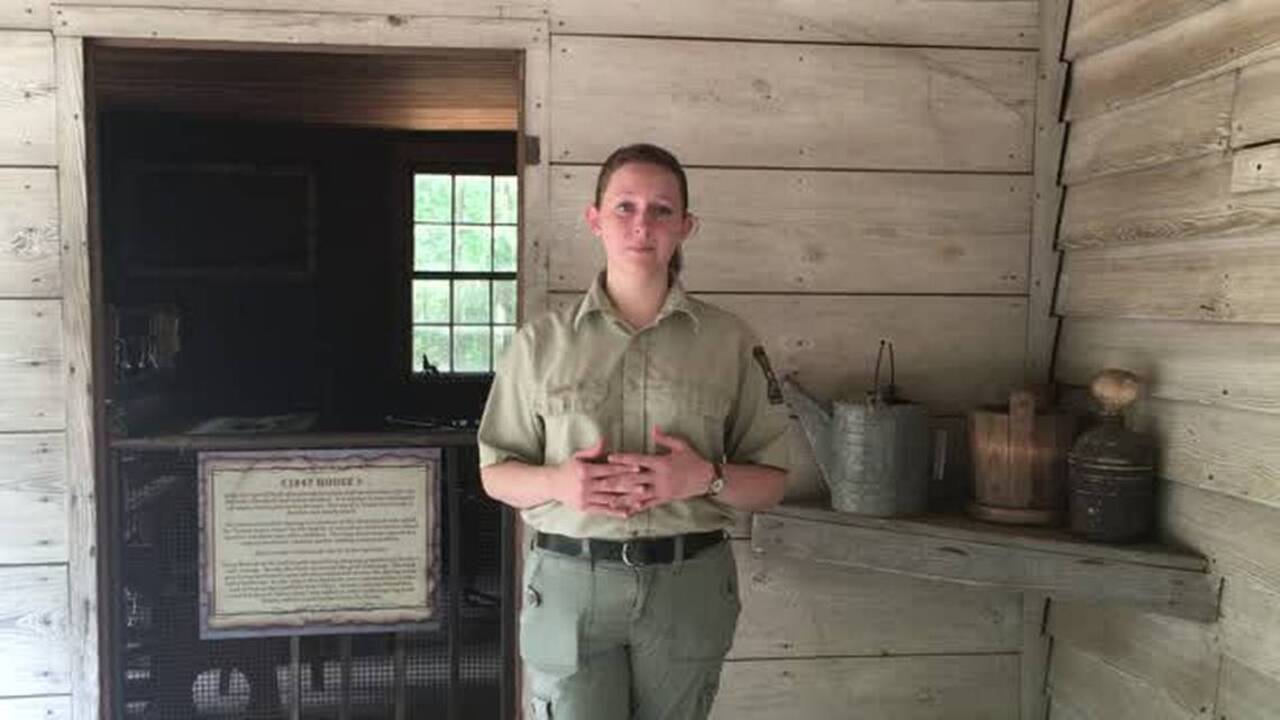Jarrell Plantation Highlights Old Lifestyles for Independence Day ...