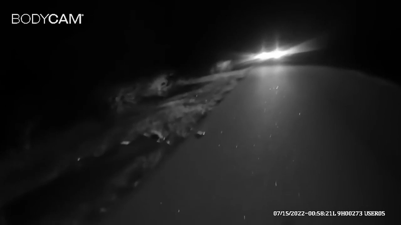 Video released of Georgia woman who died after falling from patrol car ...