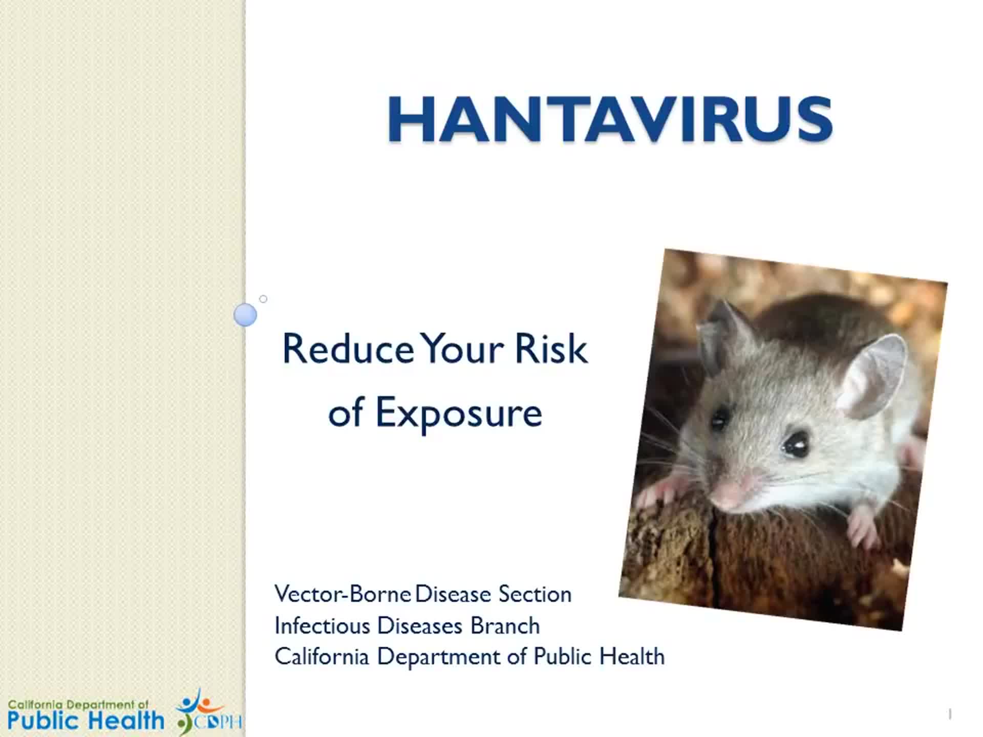 Hantavirus: How to reduce risk and exposure | Sacramento Bee