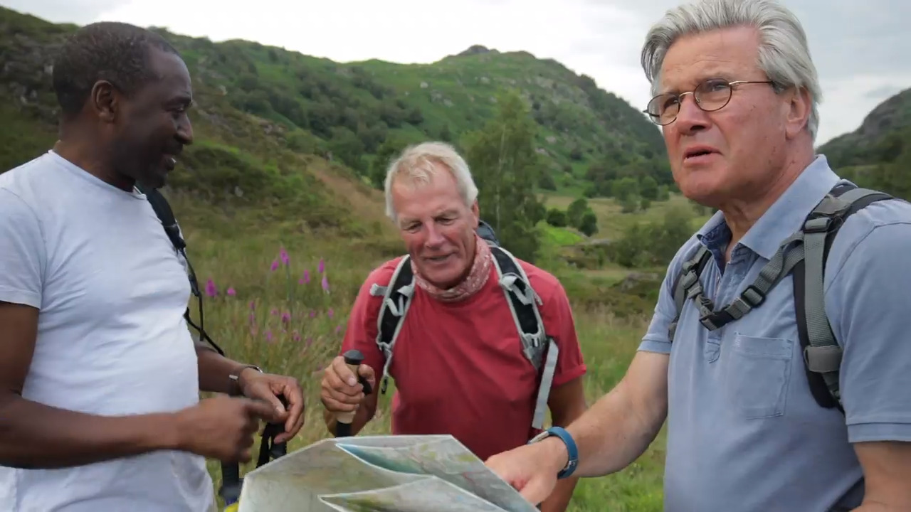 How to protect against dangers from trees in the forest | Bellingham Herald