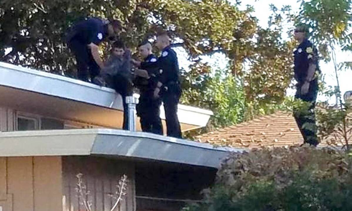 A vandalism suspect fled to a roof. Here's how police got him down ...