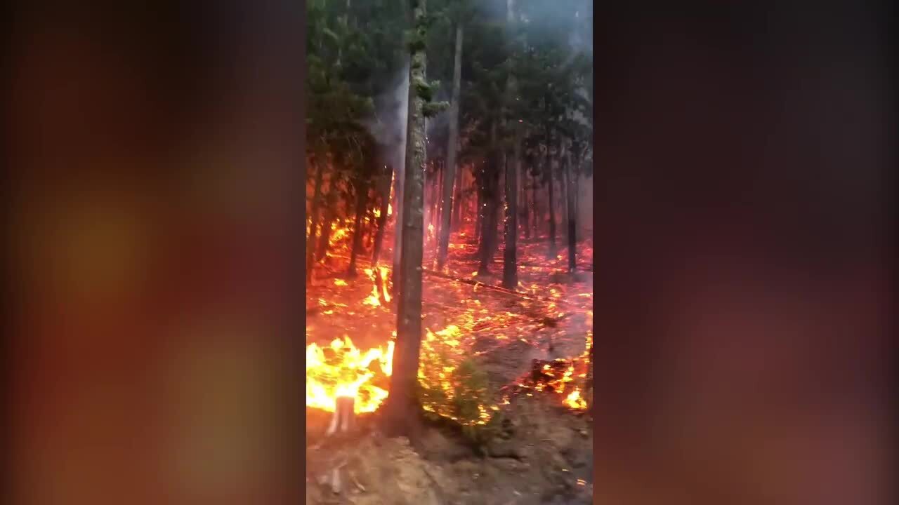Live updates of fires burning in Bonney Lake, Pierce County | Tacoma ...