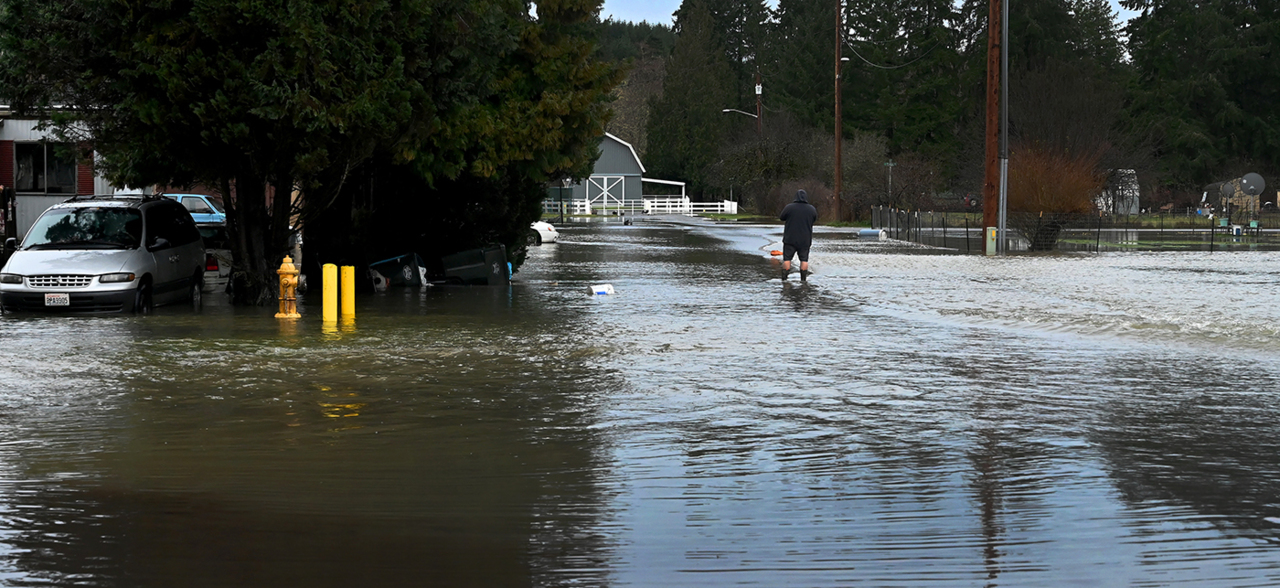 Friday flood waters rise in the Town of Bucoda (Video) | The Olympian
