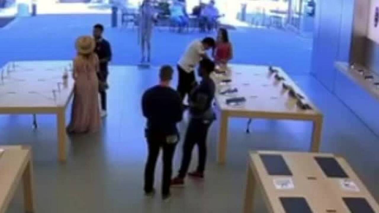 Thousands in Apple Store merchandise purchased with stolen credit card ...