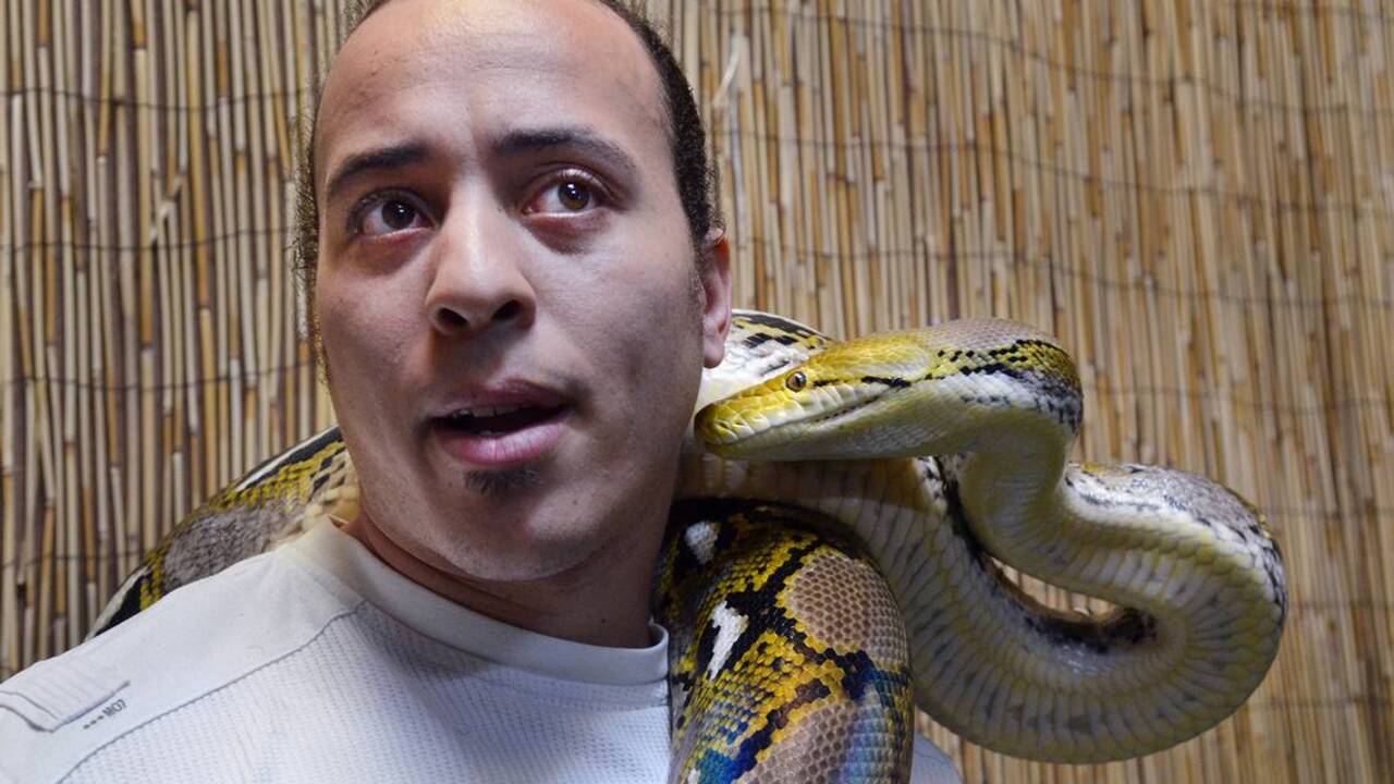 These 3 exotic pets, are legal and for sale at Bluffton store ...