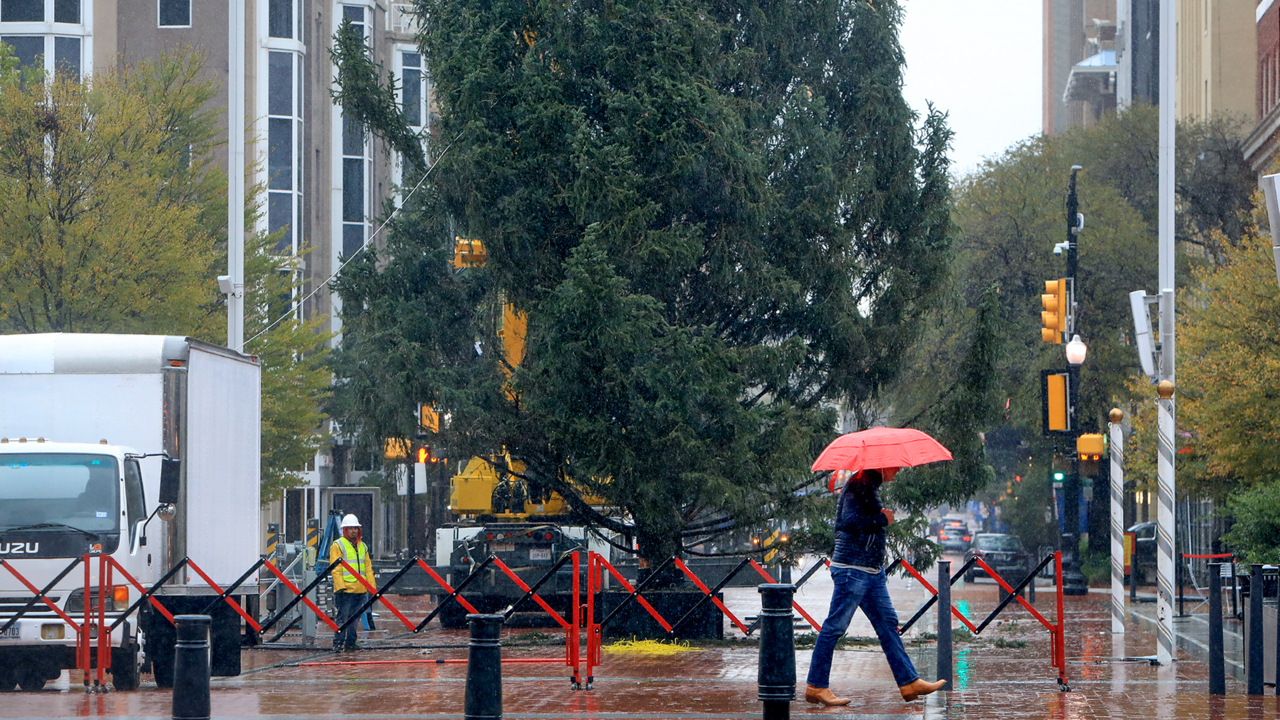 Christmas tree arrives in downtown Fort Worth (Video) | Fort Worth Star ...