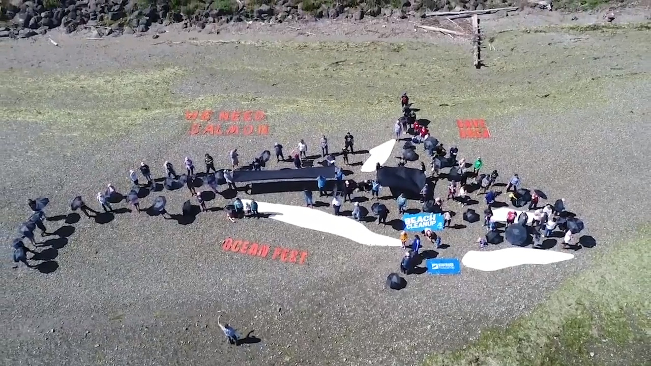 Volunteers celebrate World Oceans day by cleaning up Purdy Sand Spit ...