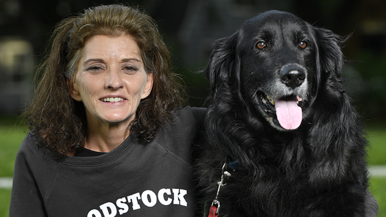 KC Pet Project foster program helps Kansas City pet owners | Kansas ...