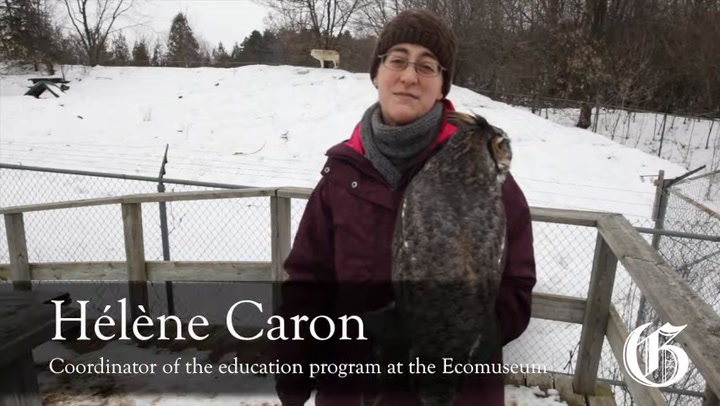 The Ecomuseum zoo | Montreal Gazette