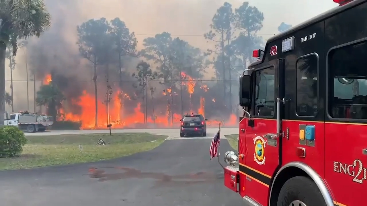 Firefighters battle wildfires in the Florida Everglades near Naples ...