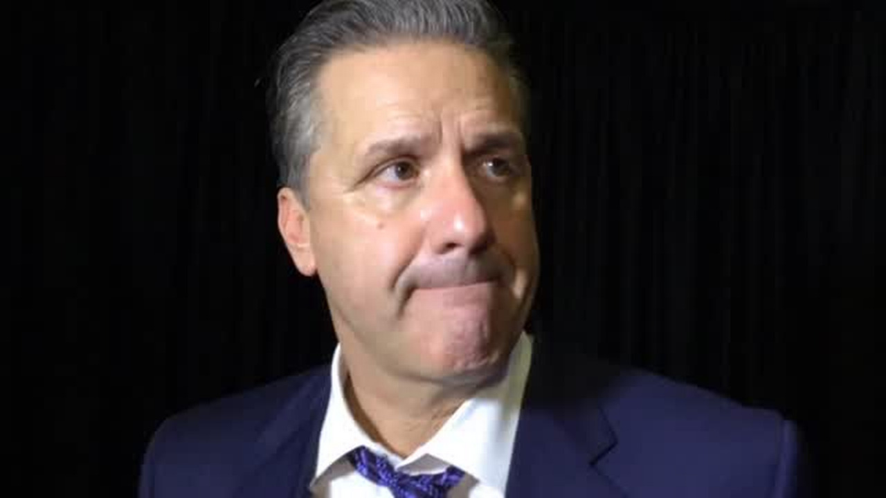 John Clay: Cats go to L.A. and star in the ‘Young and the Fragile ...